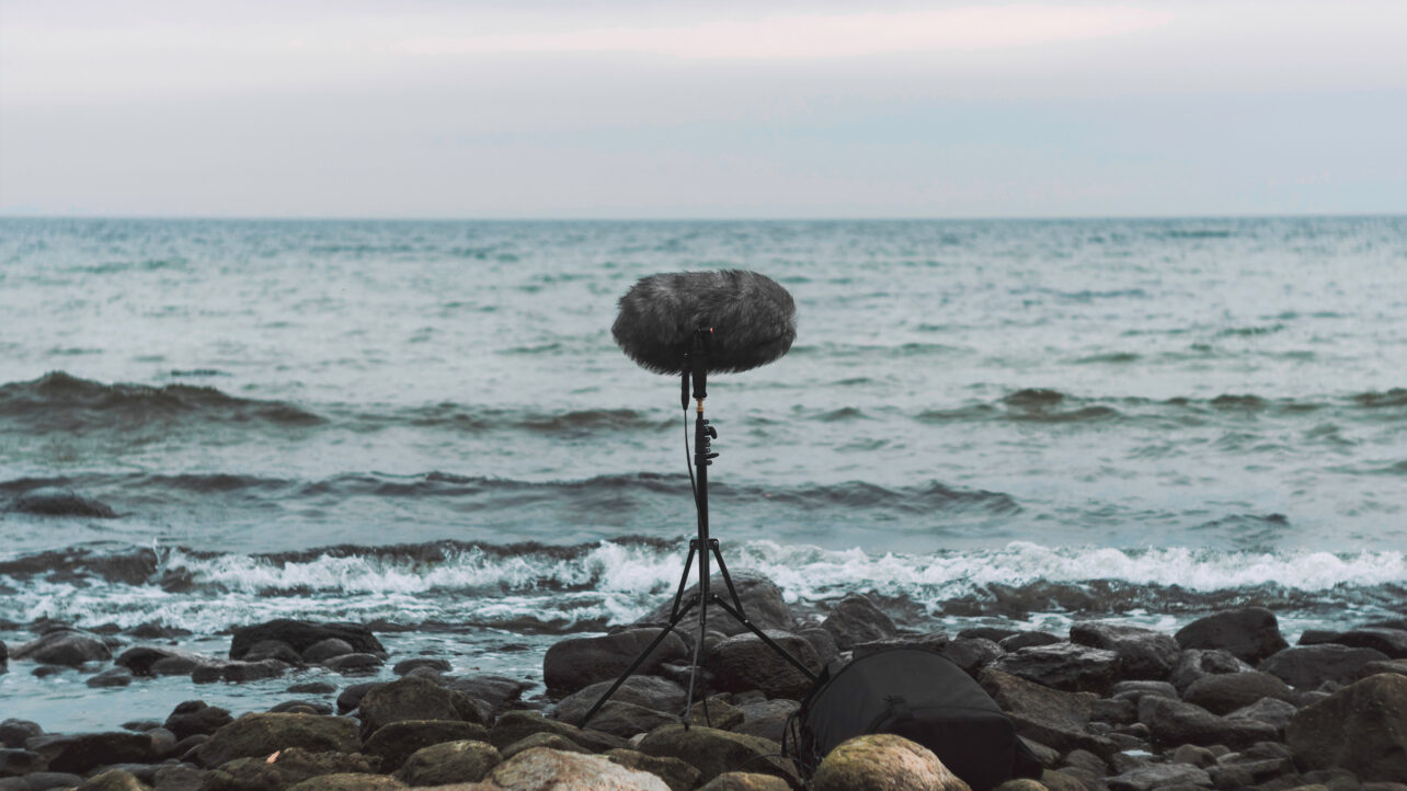 A Beginner's Guide to Field Recording - Indie Tips